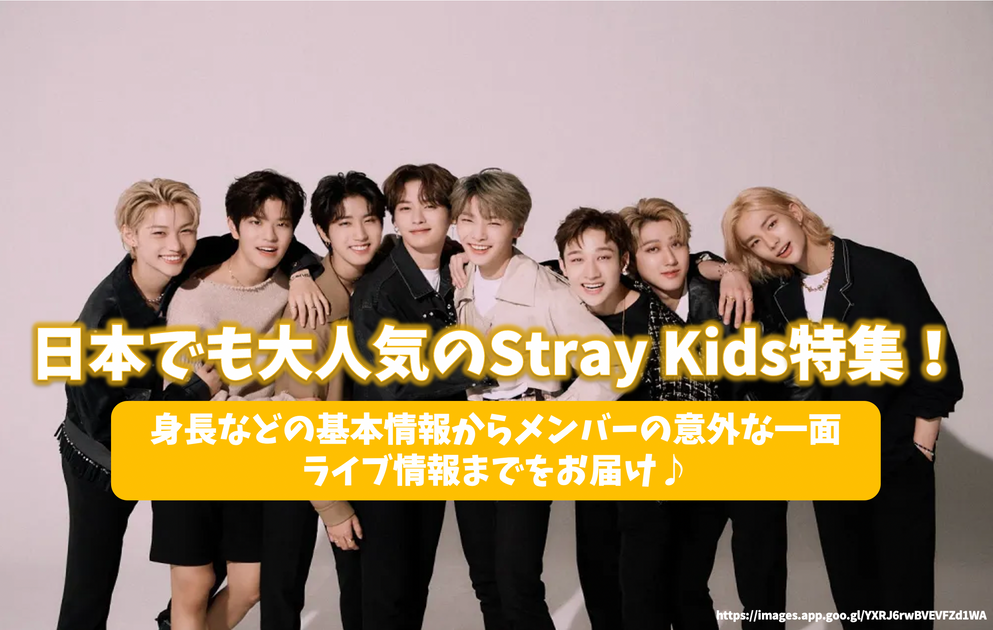 （Ayumi36）Stray Kids/Sukiz在日本特別節目！從基本信息（例如高度到成員的令人驚訝的方面）傳遞和實時信息♪ – センイル ...